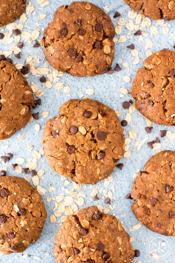 Chocolate Chip Oatmeal Lactation Cookies - Hungry Hobby