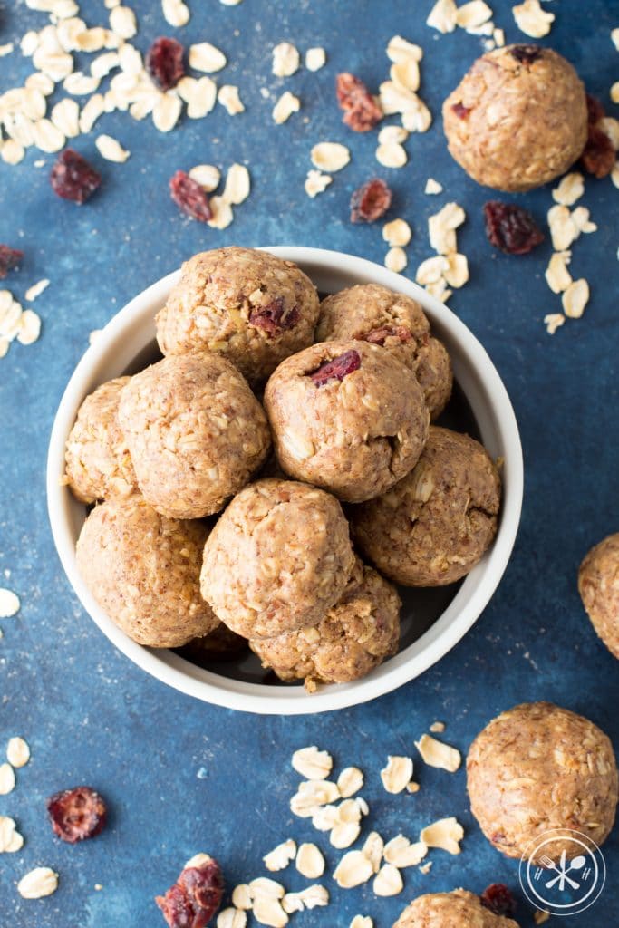 No Bake Lactation Bites - Hungry Hobby