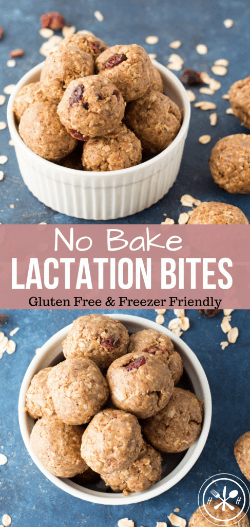 No Bake Lactation Bites - Hungry Hobby