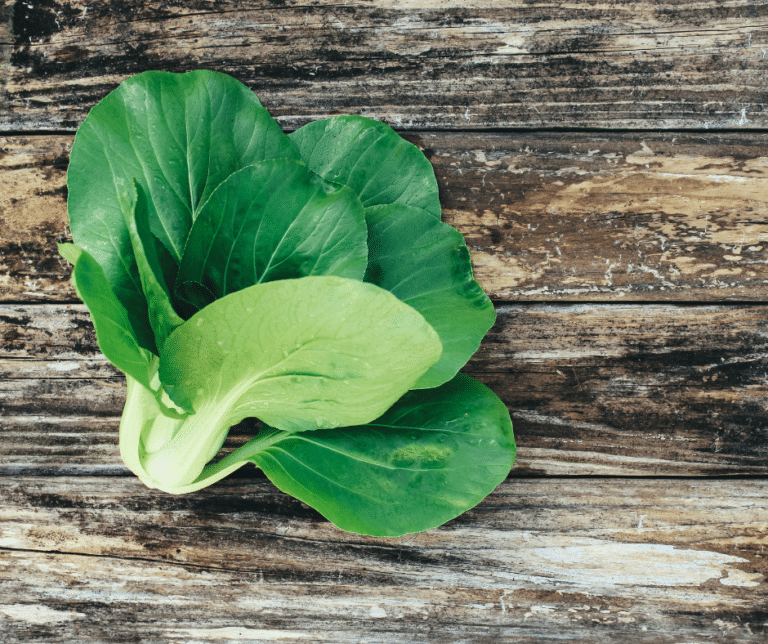 What Fruits and Vegetables are in Season for October? (Produce Guide ...