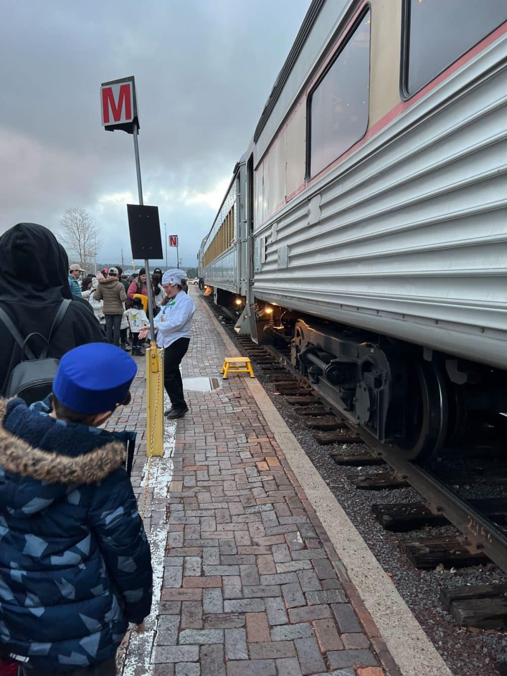 Polar Express - Williams, Arizona (Train Ride Recap) - Hungry Hobby