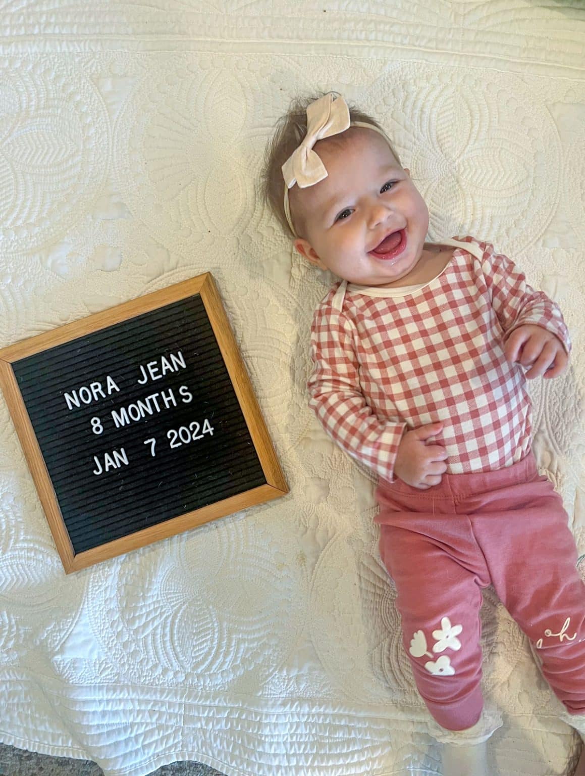 Dear Baby Girl 8 Month Update - Hungry Hobby