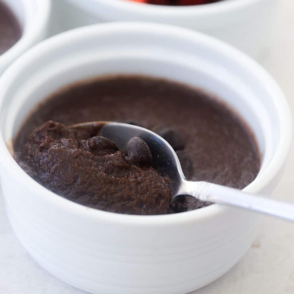 Two Ingredient Protein Pudding Recipe - Hungry Hobby